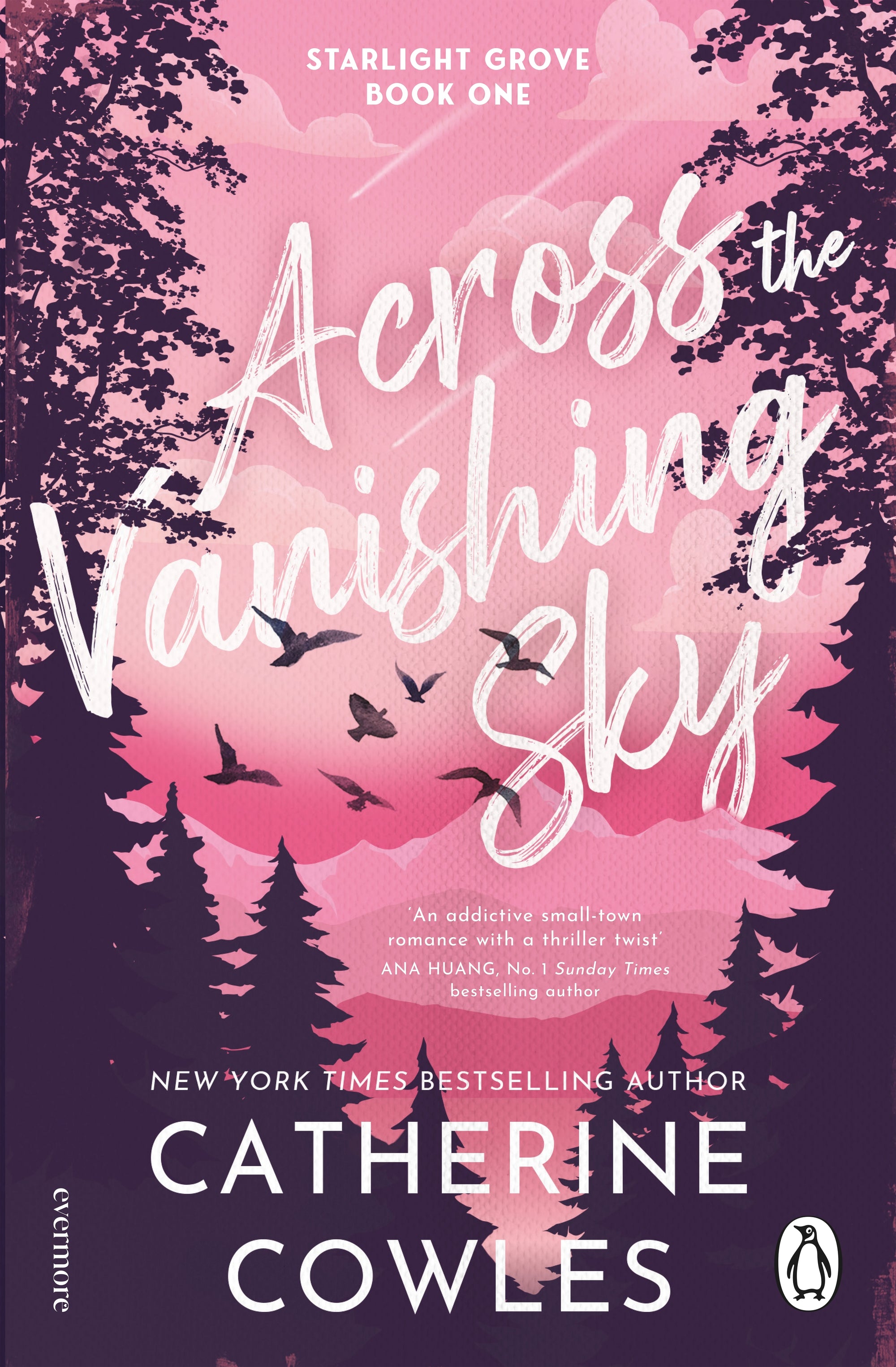 Across the Vanishing Sky by Catherine Cowles - Enamoured Books